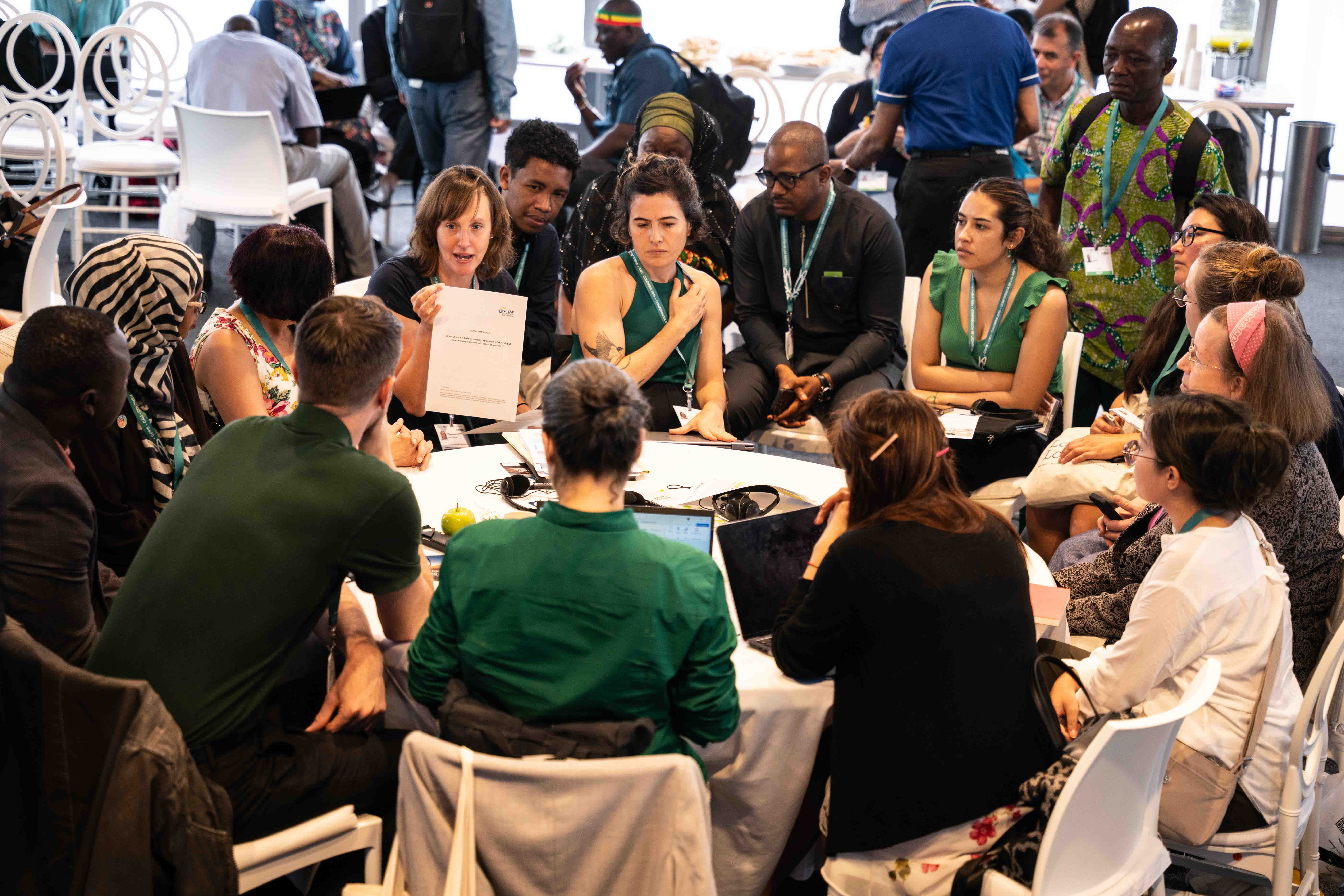 Round Table On Whole Of Society Approach 2024 10 22 Nbsap Day Iisd